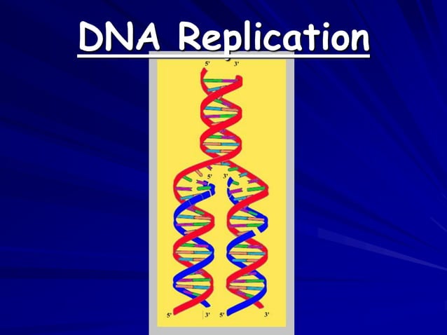 DNA Replication.ppt hajakinajanbsjejsjsj | PPT