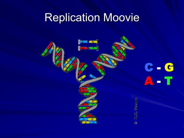 DNA Replication.ppt hajakinajanbsjejsjsj | PPT