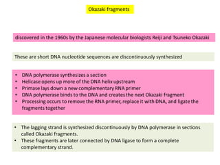 DNA REPLICATION class XII Biology based NCERT Text book .pptx