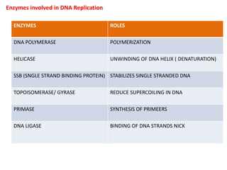 DNA REPLICATION class XII Biology based NCERT Text book .pptx