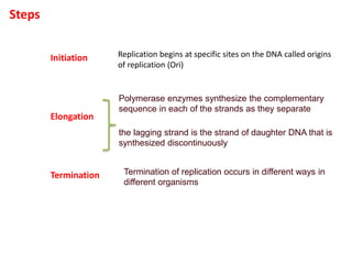 DNA REPLICATION class XII Biology based NCERT Text book .pptx