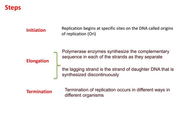 DNA REPLICATION class XII Biology based NCERT Text book .pptx ...
