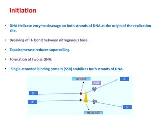 DNA REPLICATION class XII Biology based NCERT Text book .pptx