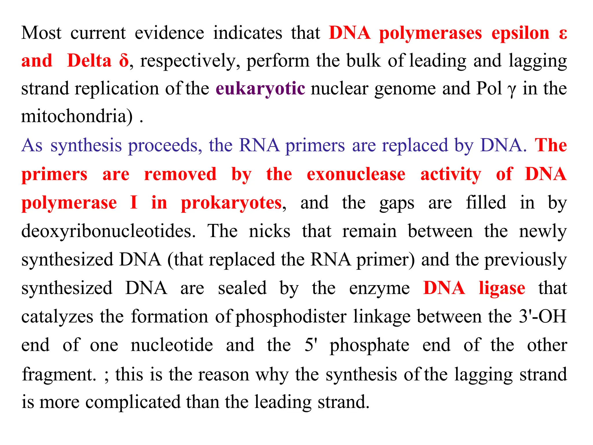 DNA REPLICATION in molecular biology.pptx