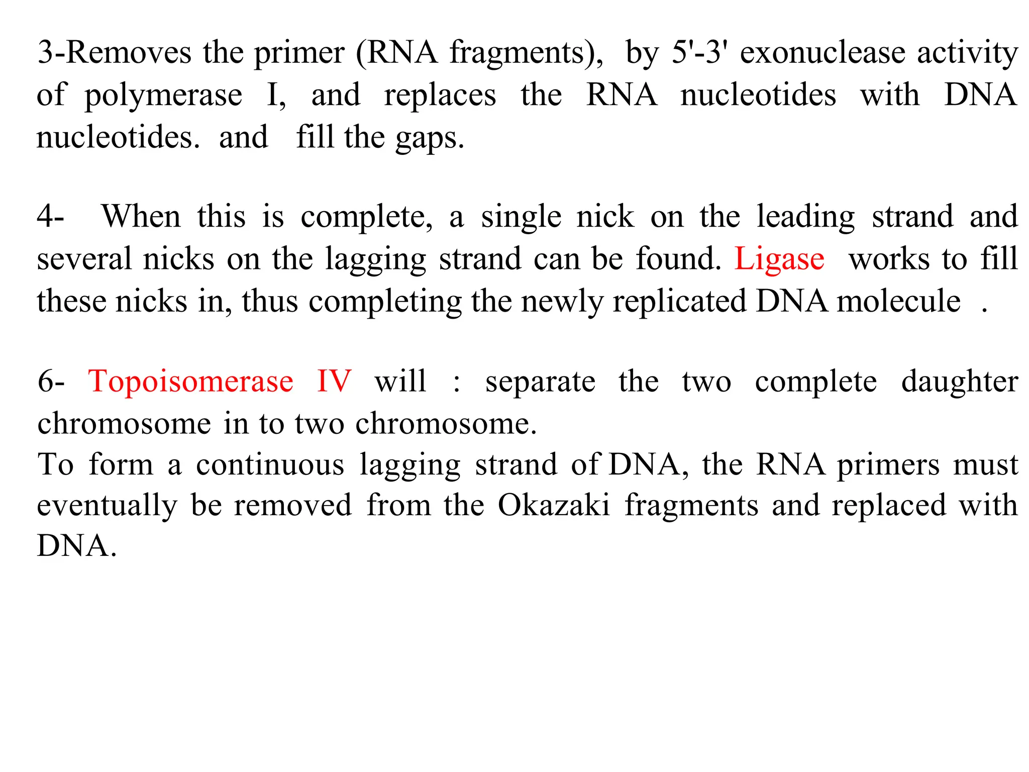 DNA REPLICATION in molecular biology.pptx