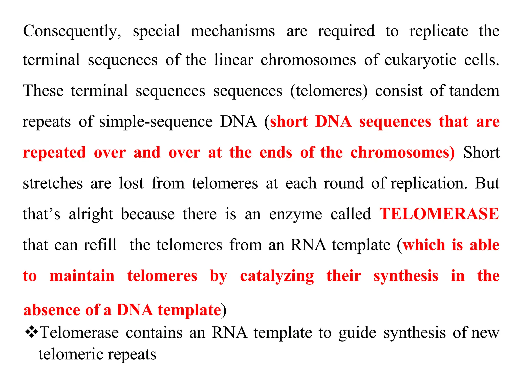 DNA REPLICATION in molecular biology.pptx