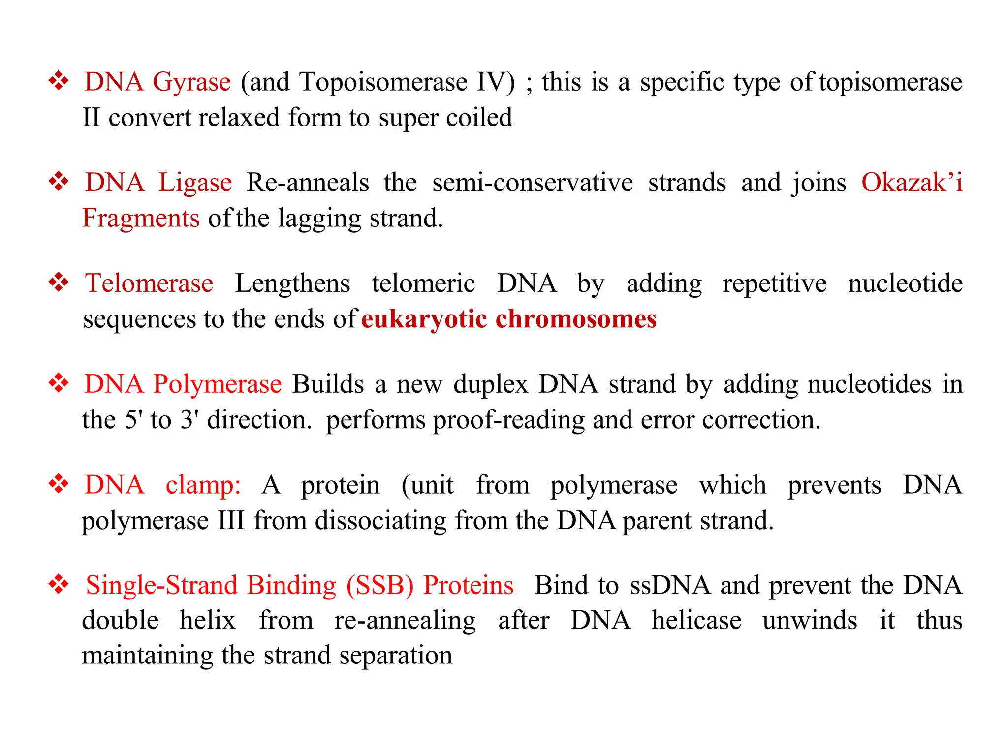 DNA REPLICATION in molecular biology.pptx