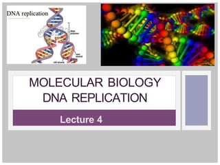 DNA REPLICATION in molecular biology.pptx