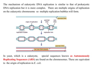 DNA REPLICATION in molecular biology.pptx