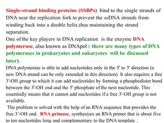 DNA REPLICATION in molecular biology.pptx