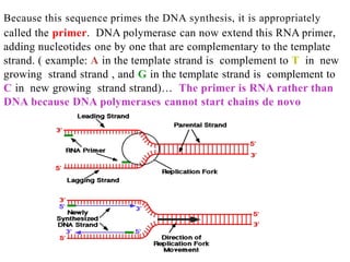 DNA REPLICATION in molecular biology.pptx
