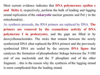 DNA REPLICATION in molecular biology.pptx