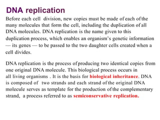 DNA REPLICATION in molecular biology.pptx