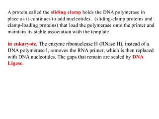DNA REPLICATION in molecular biology.pptx