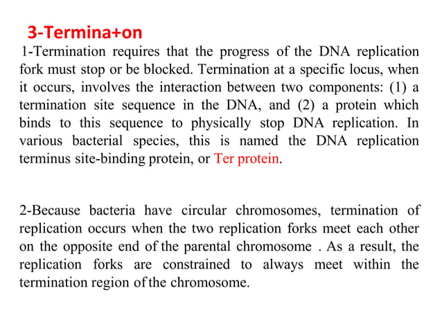 DNA REPLICATION in molecular biology.pptx