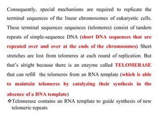 DNA REPLICATION in molecular biology.pptx