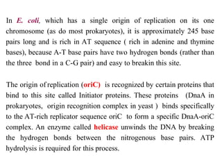 DNA REPLICATION in molecular biology.pptx
