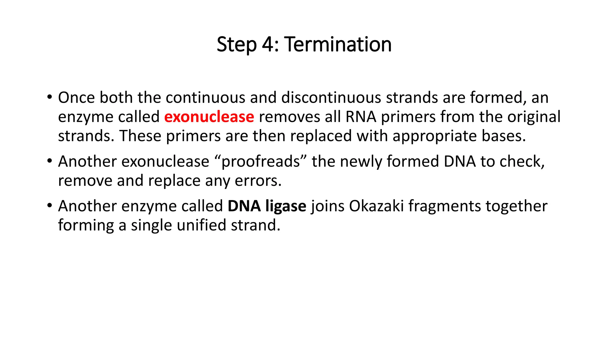 Description of the DNA Replication system.pdf