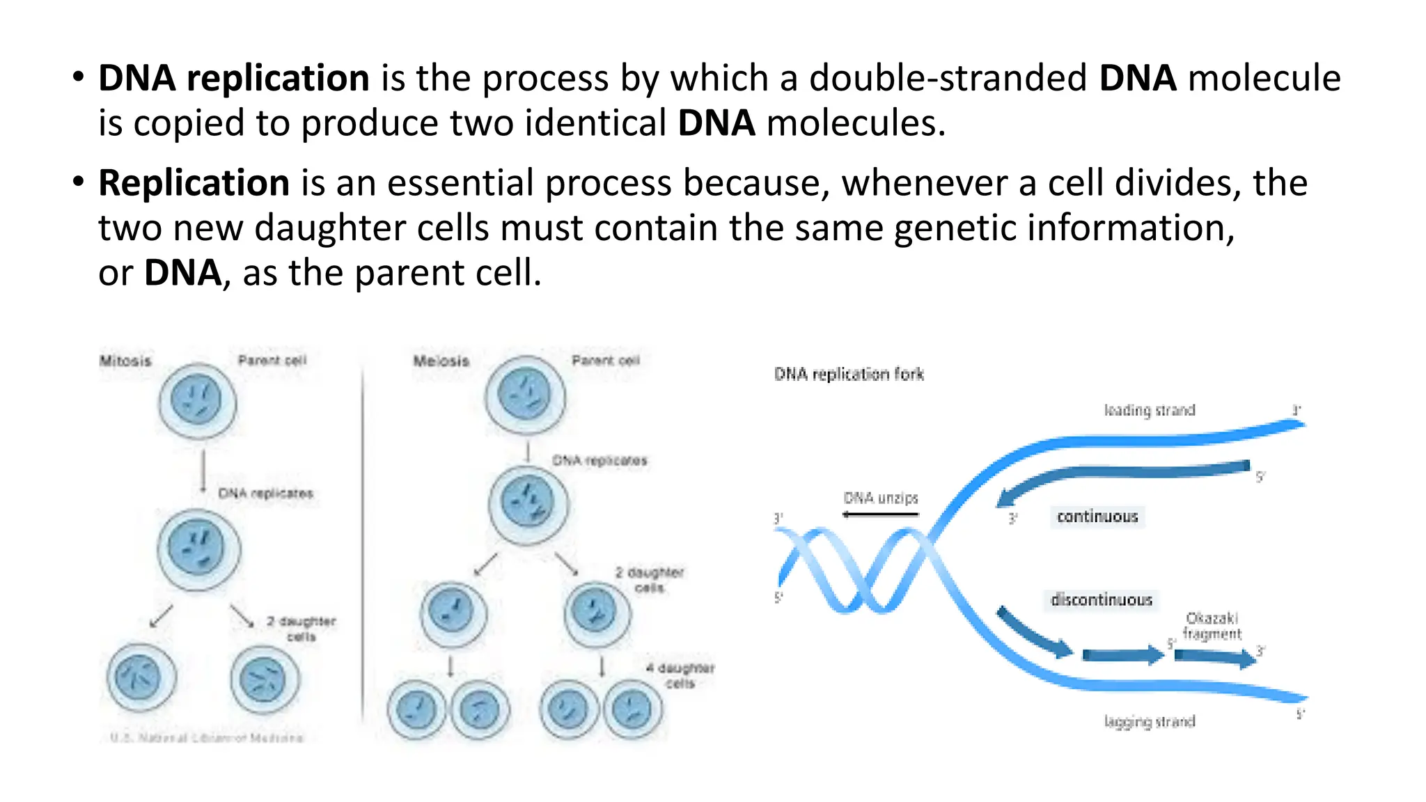 Description of the DNA Replication system.pdf