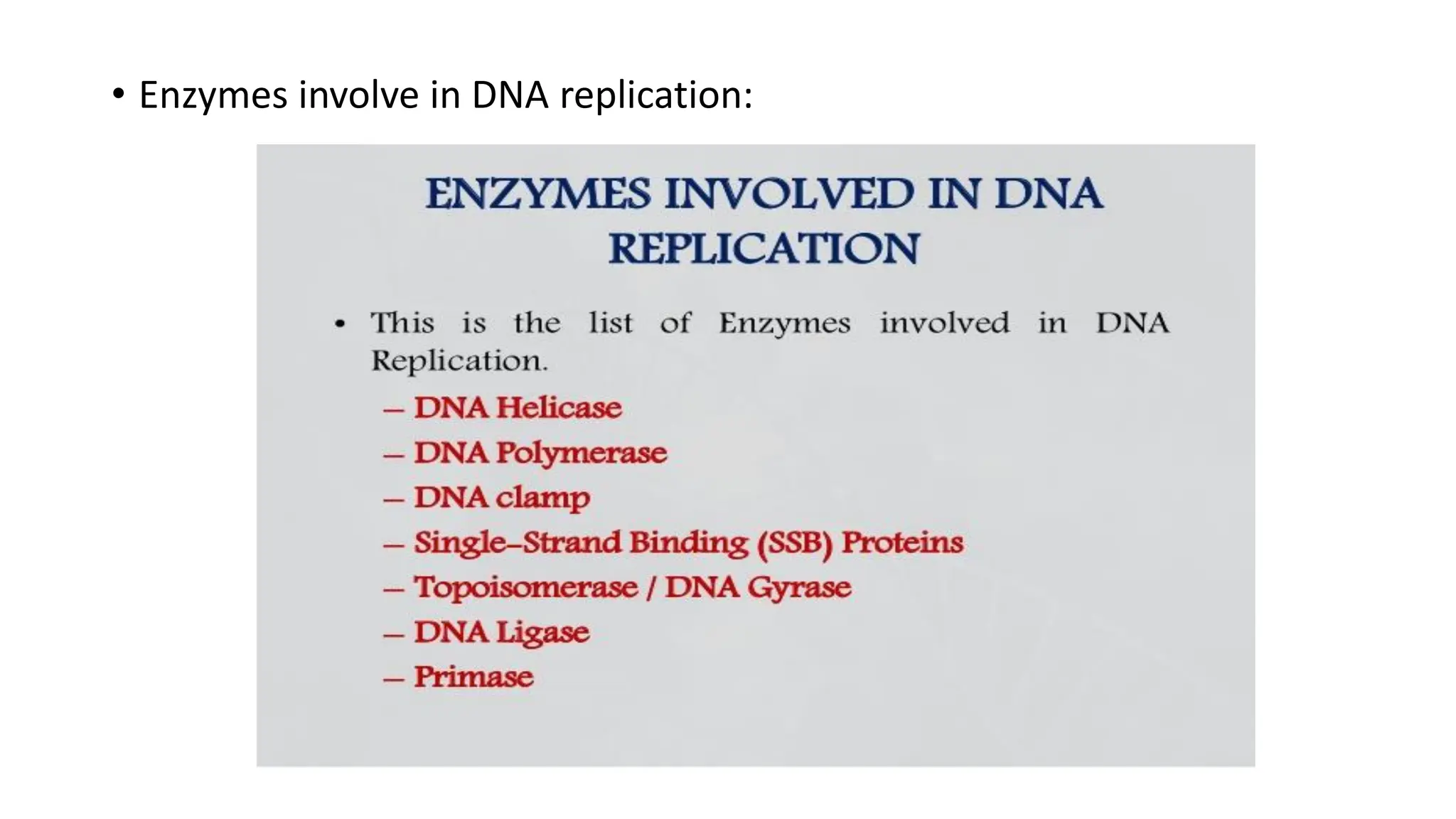 Description of the DNA Replication system.pdf
