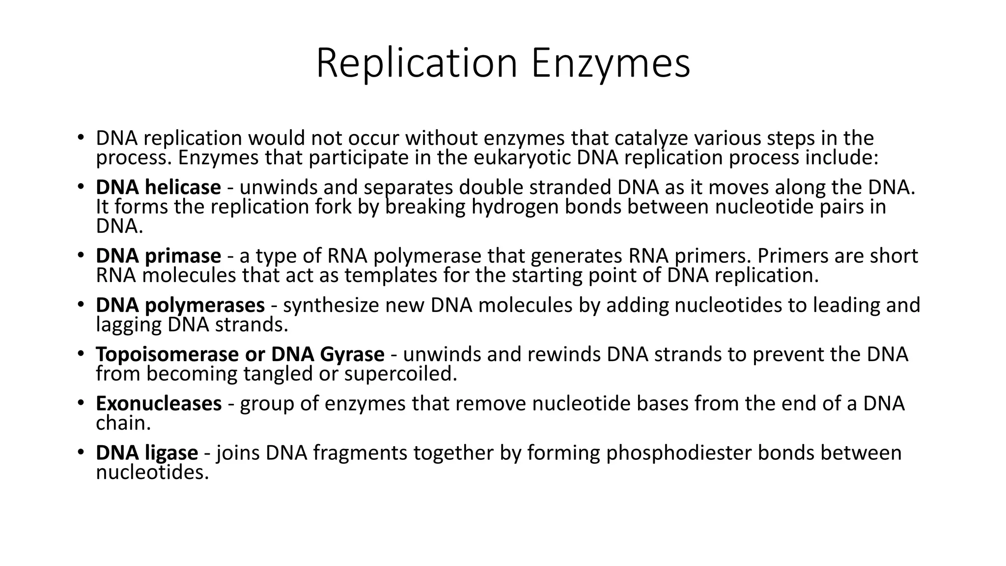Description of the DNA Replication system.pdf
