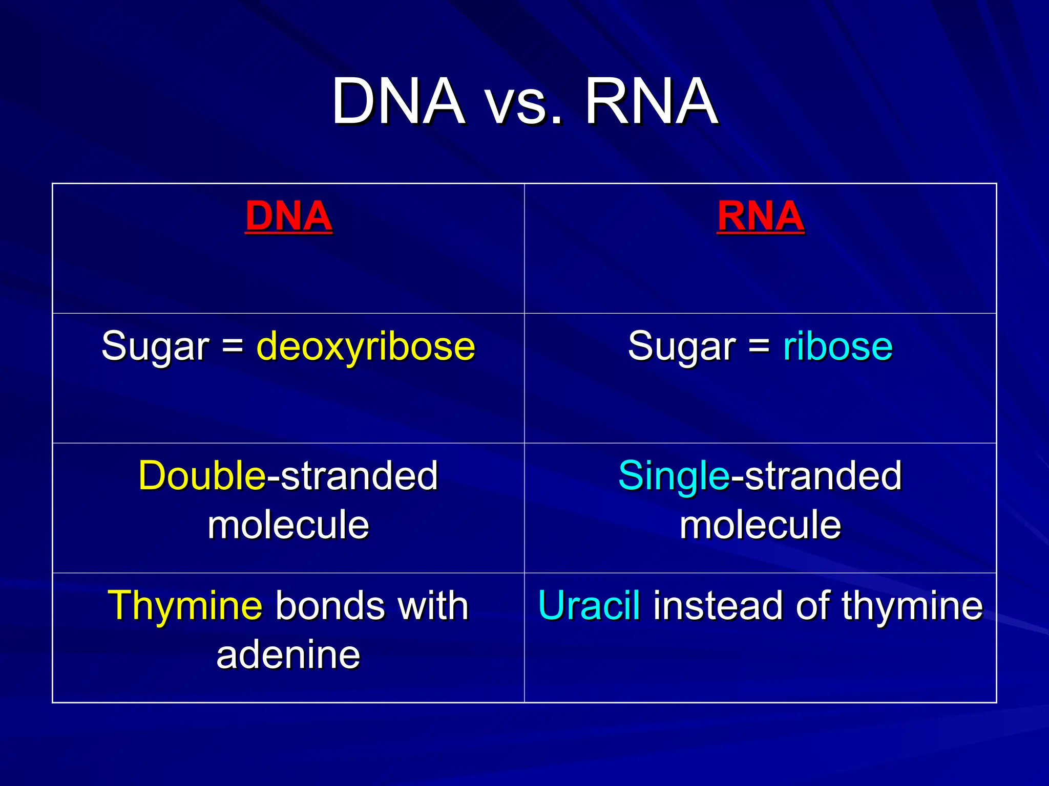 DNA Replication ,DNA and RNA and central dogma | PPT