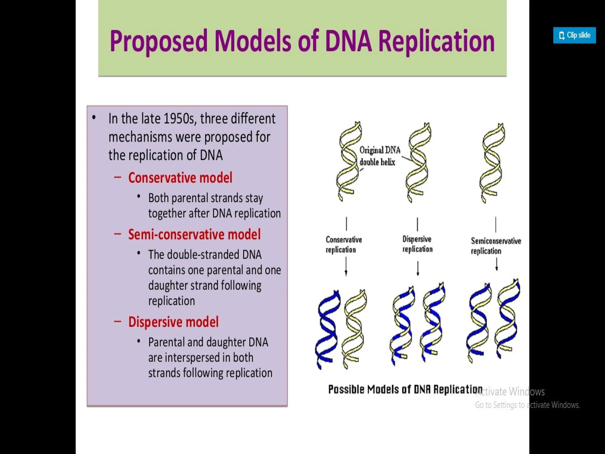 DNA REPLICATION PROCESS REQUIREMENT AND | PPTX