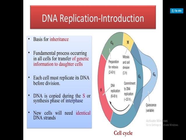 DNA REPLICATION PROCESS REQUIREMENT AND | PPTX