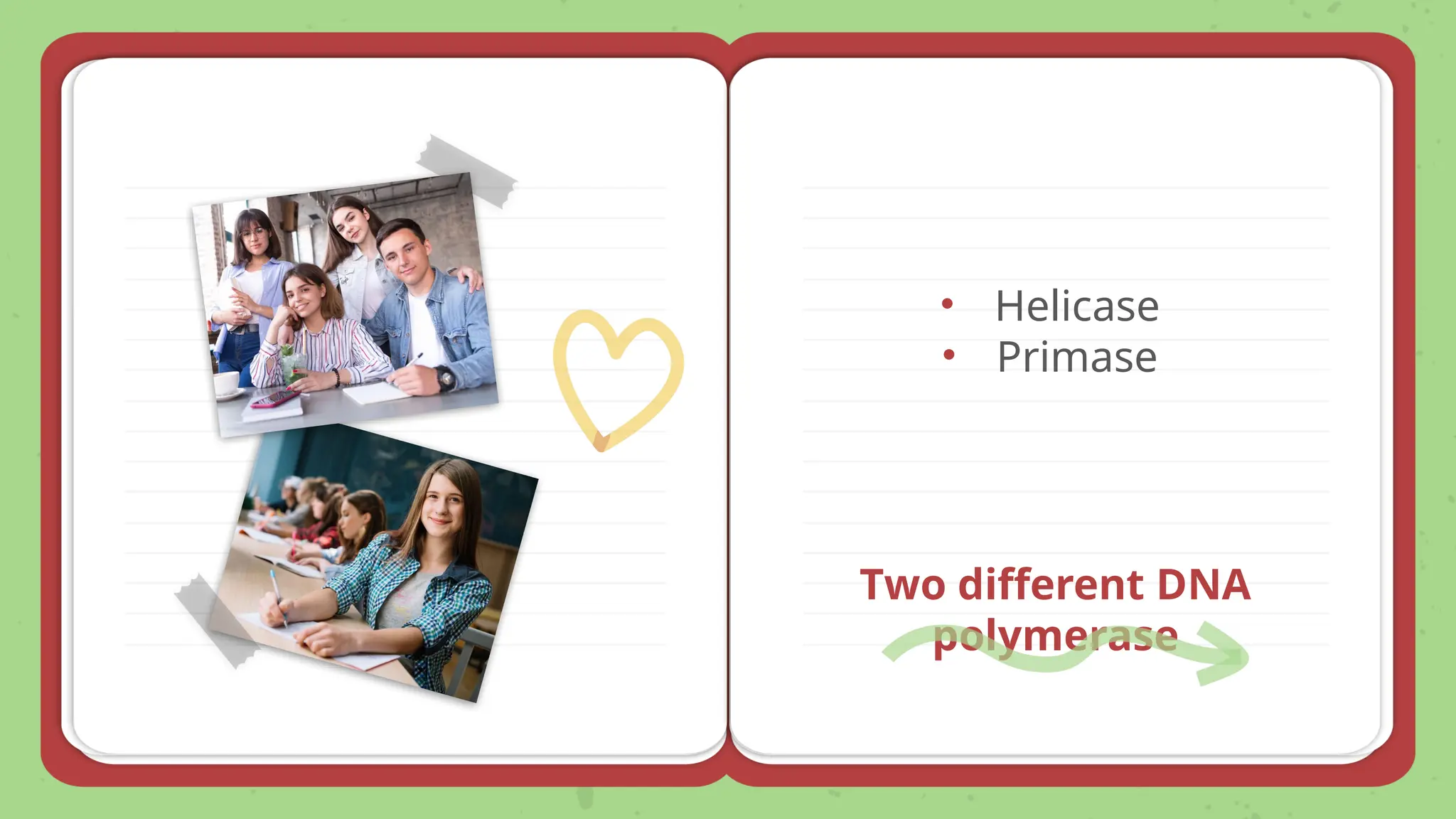 DNA replication Science High School Department | PPTX
