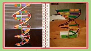 DNA replication Science High School Department | PPTX