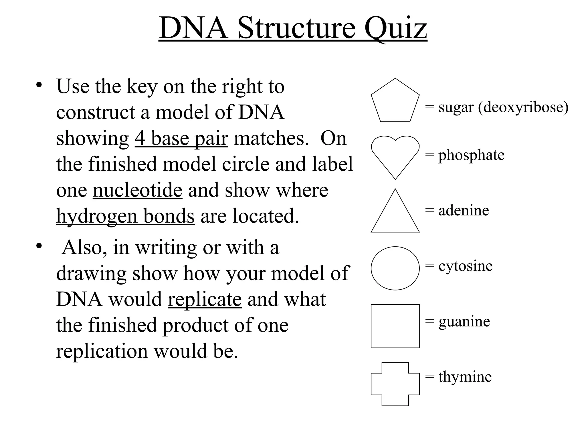 DNA STRUCTURE AND REPLICATION.PPT ON IT . | PPT