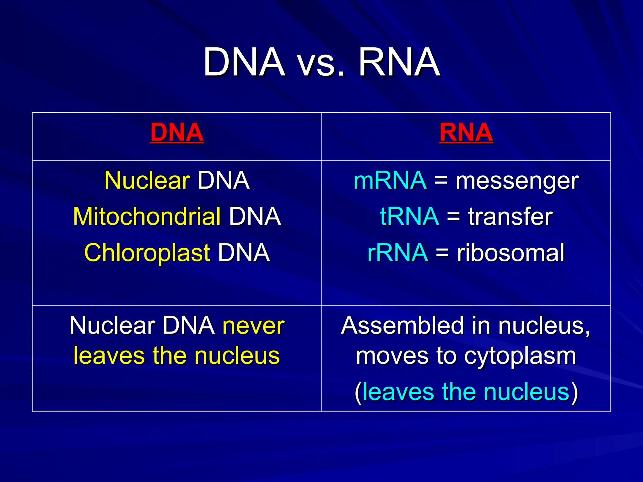 PROCESS OF DEOXYRIBOSE NUCLEIC ACID Replication.ppt