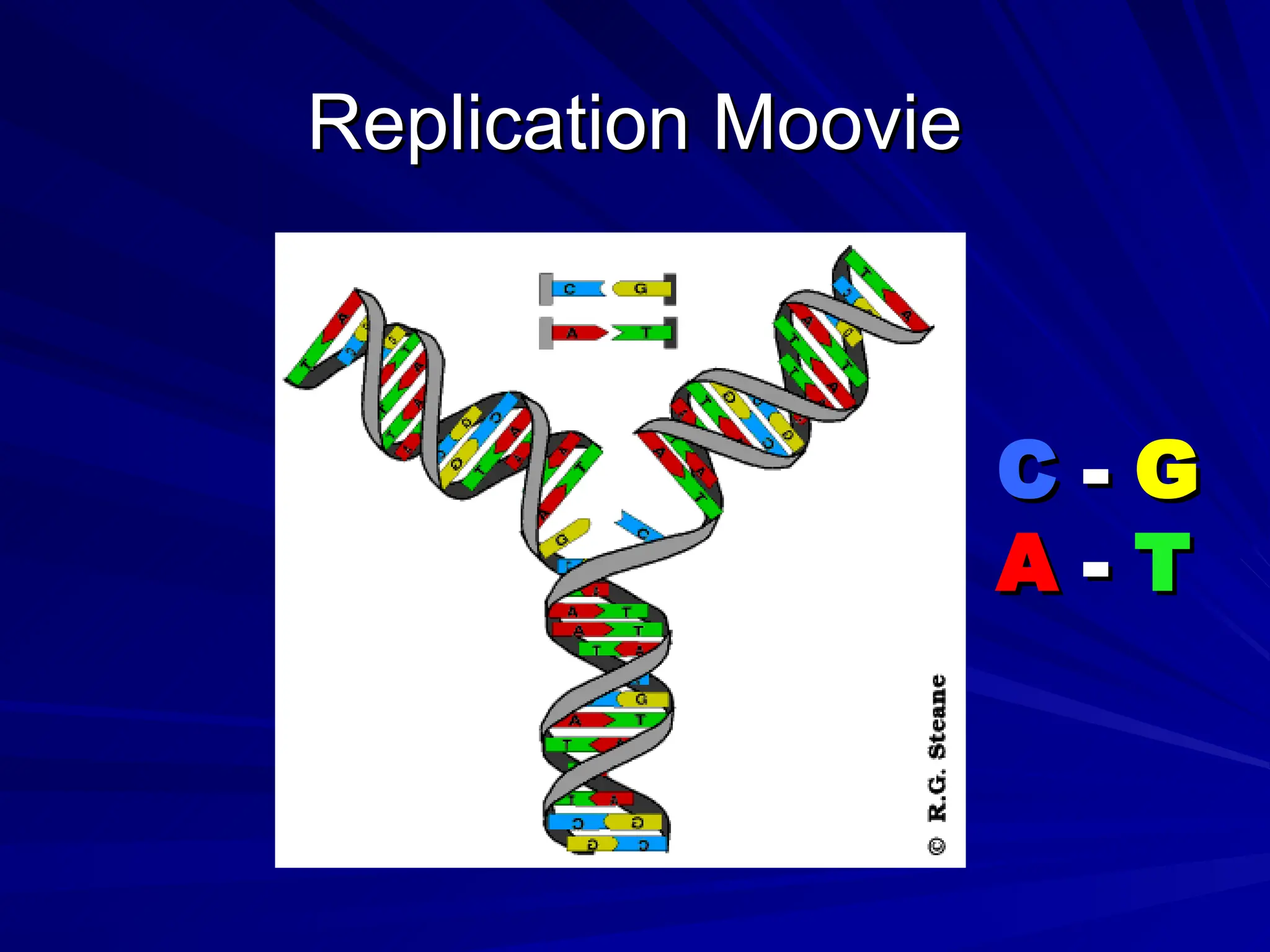 PROCESS OF DEOXYRIBOSE NUCLEIC ACID Replication.ppt