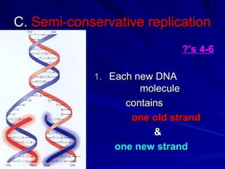 PROCESS OF DEOXYRIBOSE NUCLEIC ACID Replication.ppt
