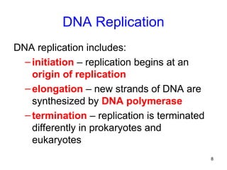 Mechanism of DNA Replication in Eukaryotes | PPT