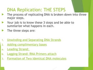 DNA Replication in eukaryotes and prokaryotes | PPT