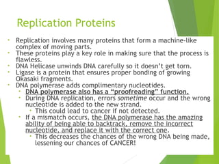 DNA Replication in eukaryotes and prokaryotes | PPT