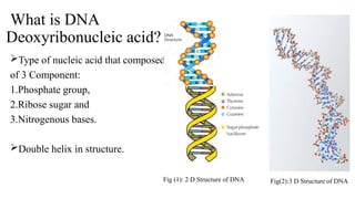 DNA REPLICATION SEMI-CONSERVATIVE METHOD.pptx