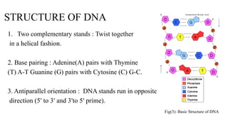 DNA REPLICATION SEMI-CONSERVATIVE METHOD.pptx