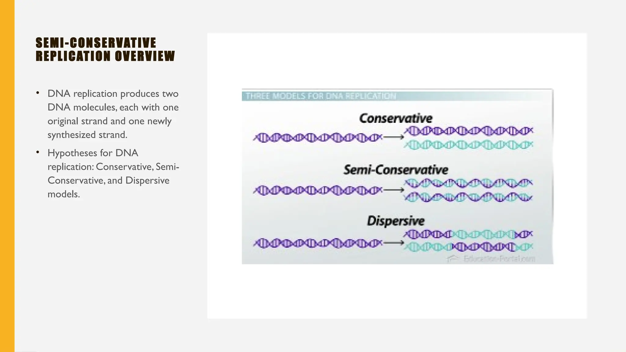 DNA Replication meselson and stahl experiment and griffith experiment ...