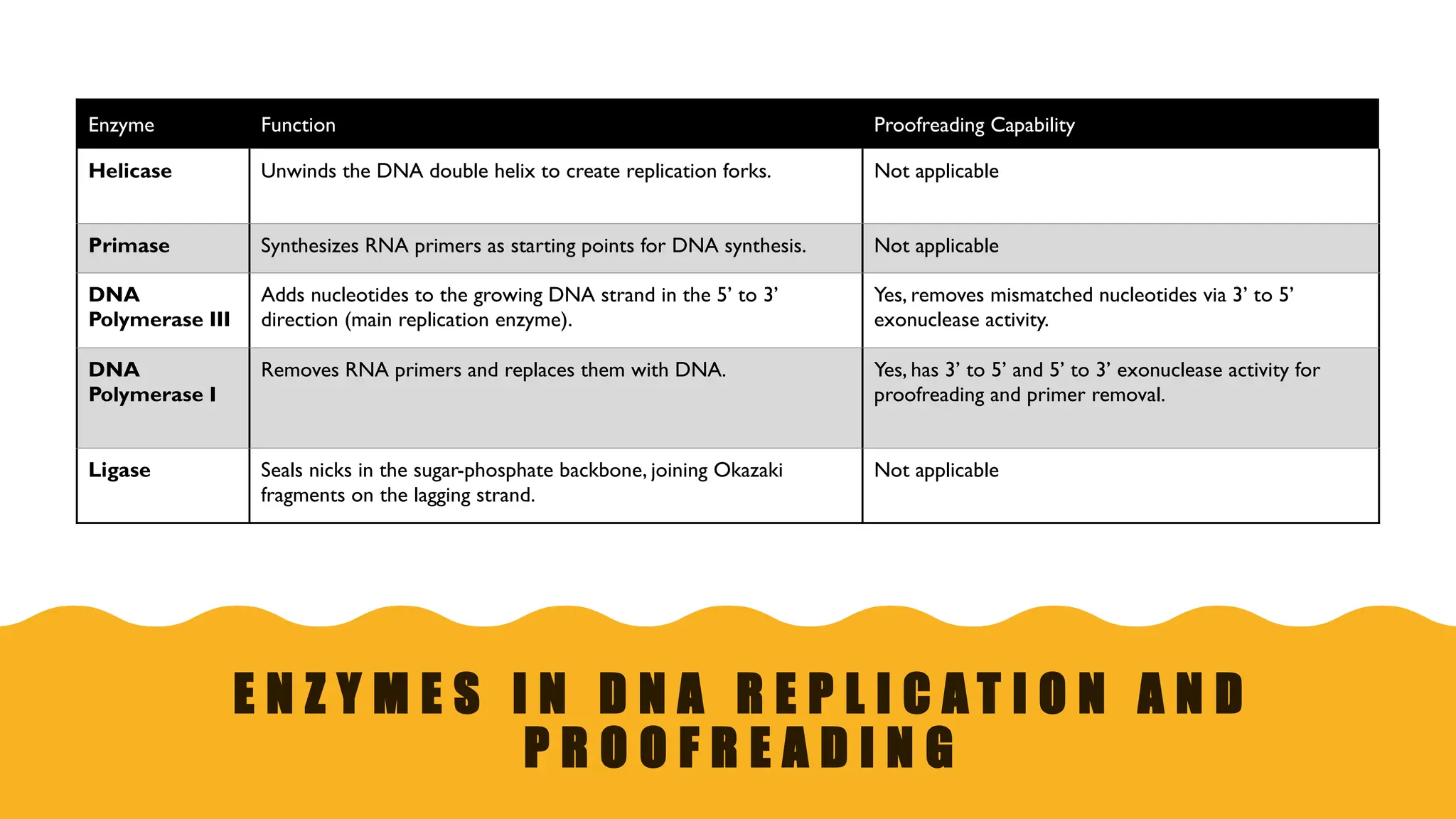 DNA Replication meselson and stahl experiment and griffith experiment ...