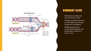 DNA Replication meselson and stahl experiment and griffith experiment ...