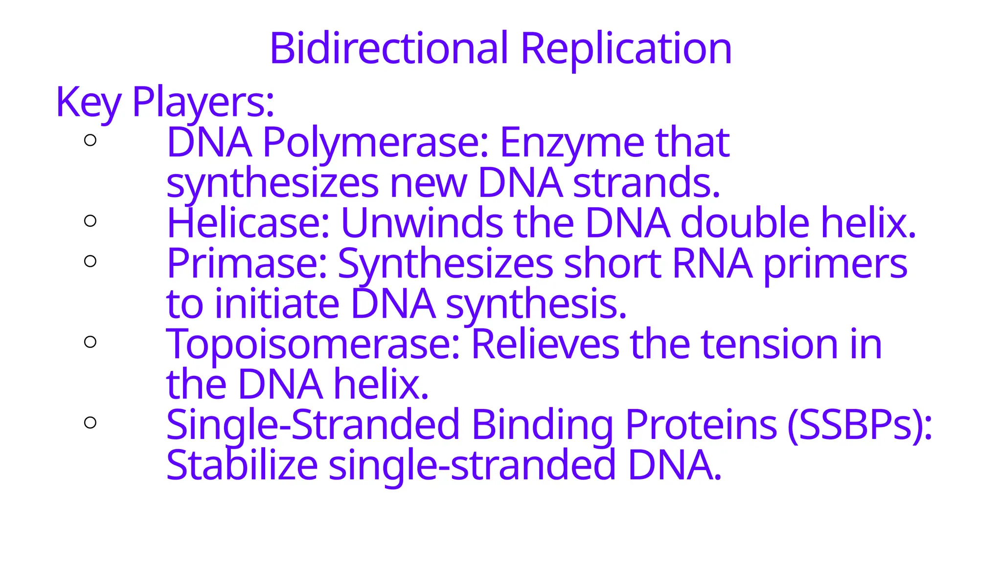 Dna Replication Bidirectional And Rolling Circle Modes Of Replication Pptx