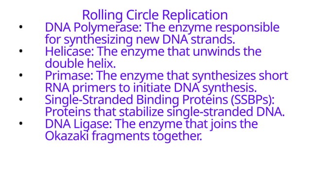 DNA Replication Bidirectional and Rolling circle modes of replication.pptx