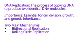 DNA Replication Bidirectional and Rolling circle modes of replication.pptx