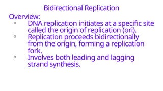 DNA Replication Bidirectional and Rolling circle modes of replication.pptx