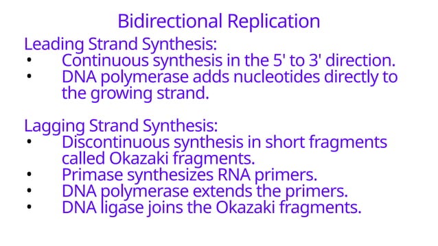 DNA Replication Bidirectional and Rolling circle modes of replication.pptx