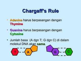 DNAREPLICATION ppt biologi OSN SMA nasional.PPT