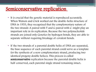 deoxyribonucleic acid replication presentation.pptx