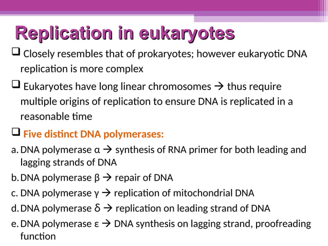 DNA replication and steps involved in it | PPT